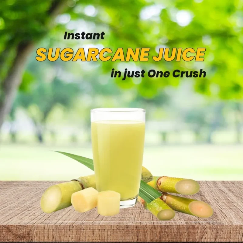Buy Ganna Juice Machine in India - Coldex India